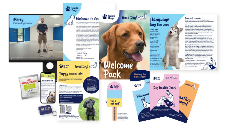 Good Dog | Expert Training Advice | Guide Dogs